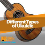 Types of Ukuleles: A Complete Guide to the Ukulele Family - Public ...