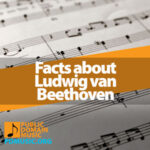 13 Interesting Facts About Beethoven You Must Know - Public Domain Music