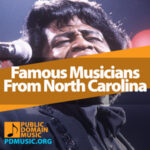 25 Most Famous Musicians From North Carolina of All Time - Public ...