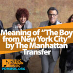 Meaning of the Song "The Boy from New York City" by The Manhattan ...