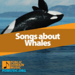 30 Most Popular Songs About Whales Ever Written (Must Hear) - Public ...