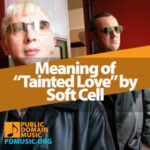 Meaning of the Song "Tainted Love" by Soft Cell - Public Domain Music