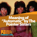 Meaning of the Song "Automatic" by The Pointer Sisters - Public Domain Music