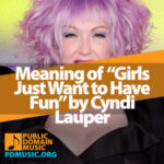Meaning of the Song "Girls Just Want to Have Fun" by Cyndi Lauper ...