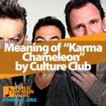 Meaning of the Song "Karma Chameleon" by Culture Club - Public Domain Music