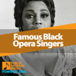 21 Most Famous Black Opera Singers of All Time (Must Hear) - Public Domain Music